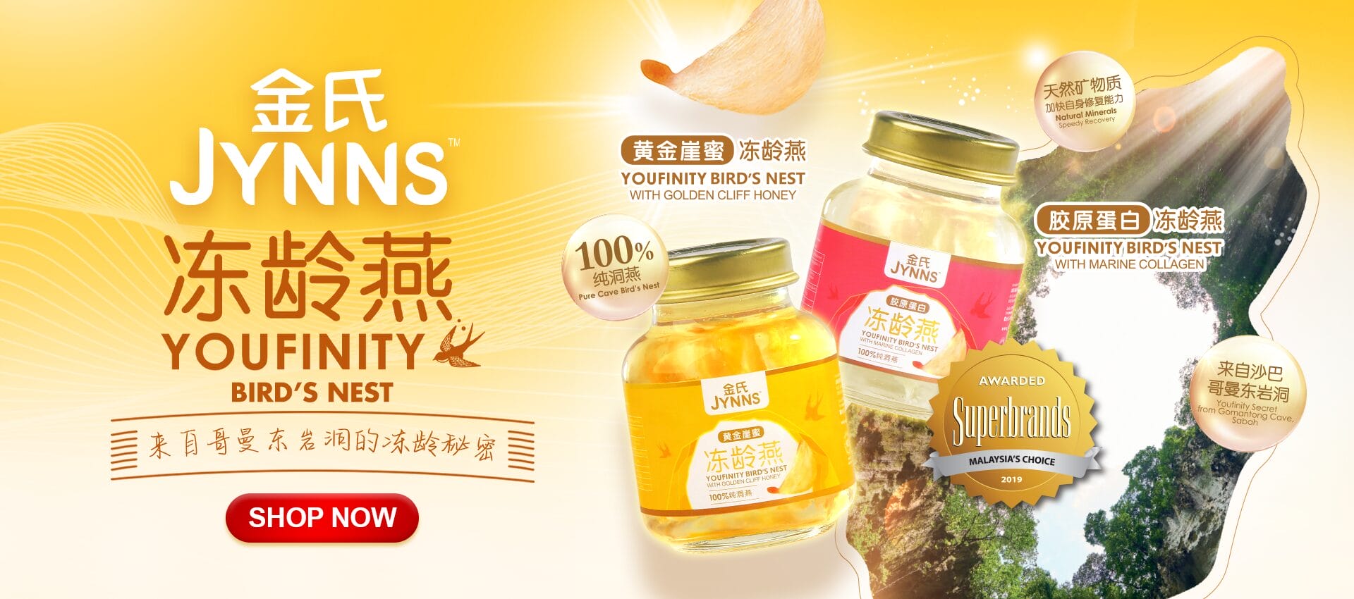 JYNNS Youfinity Bird's Nest – JYNNS Singapore